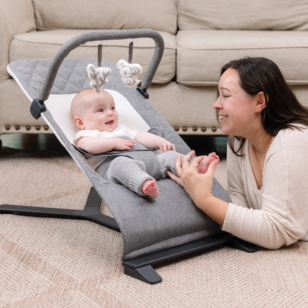 Alpine Deluxe Portable Bouncer