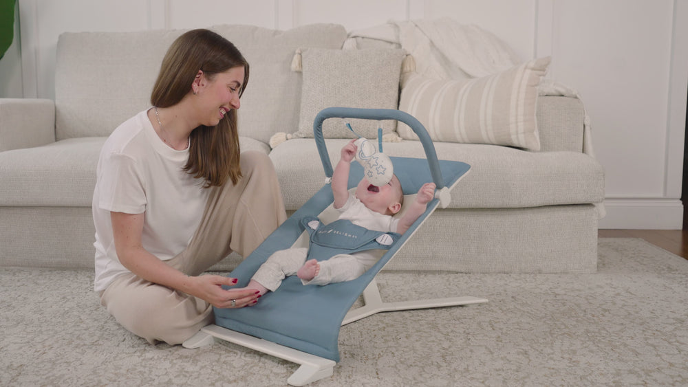 Alpine Deluxe Portable Bouncer